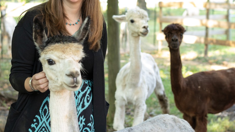 Q&A with Monica Beeman | Sheppard Pratt