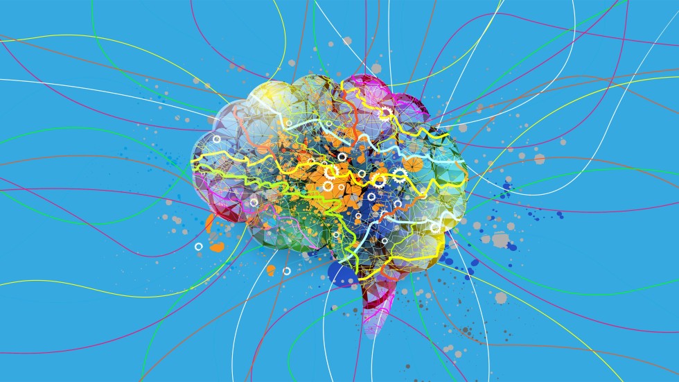 Neurodivergence on the Brain | Sheppard Pratt